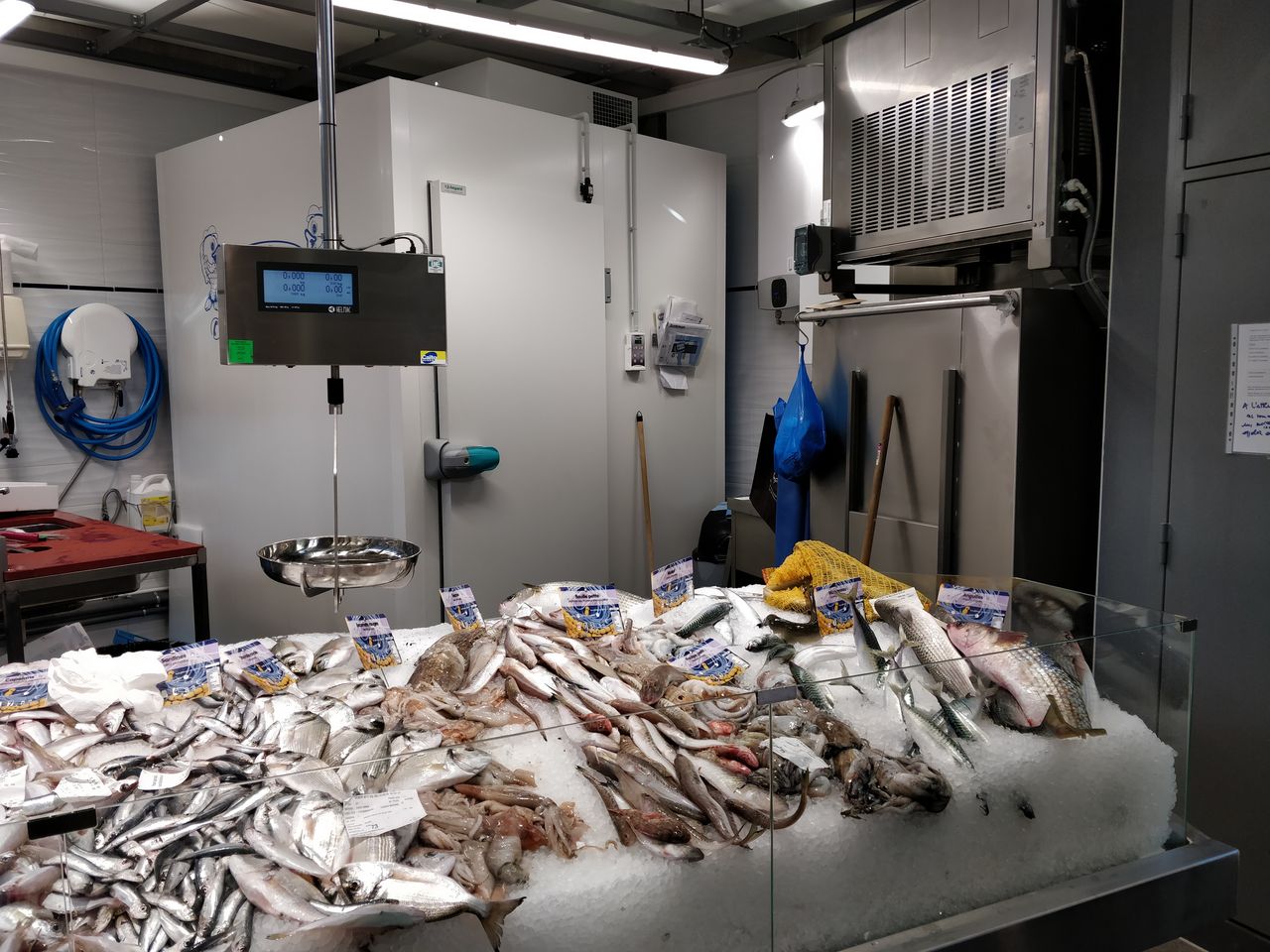 Poissonnerie Chez Patrice – Nouvelles Halles – Montpellier